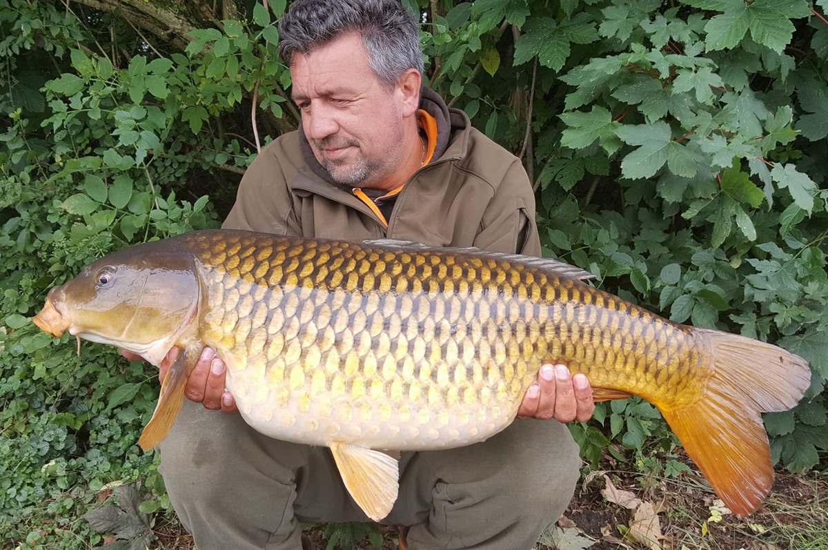 Introduction | The Baits France