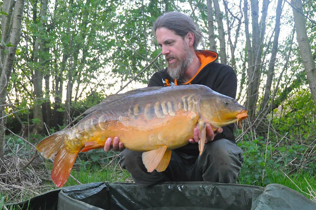 Introduction | The Baits France